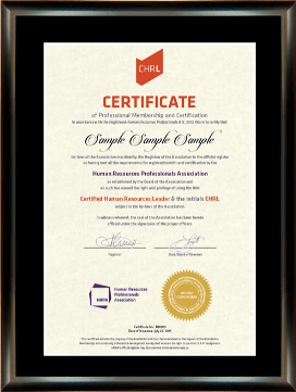 Leader Frames - Significant Impact