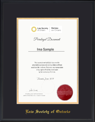 Leader Frames - Significant Impact